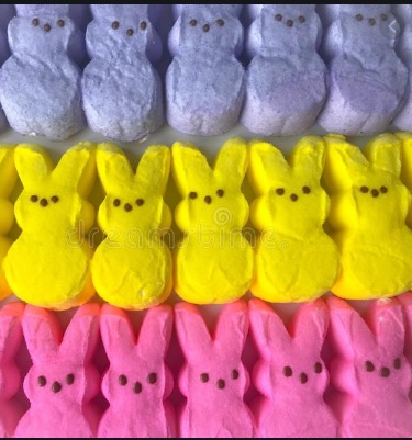 Like ‘Peeps’ in a Pod – Rich Freggiaro Cycling Blog